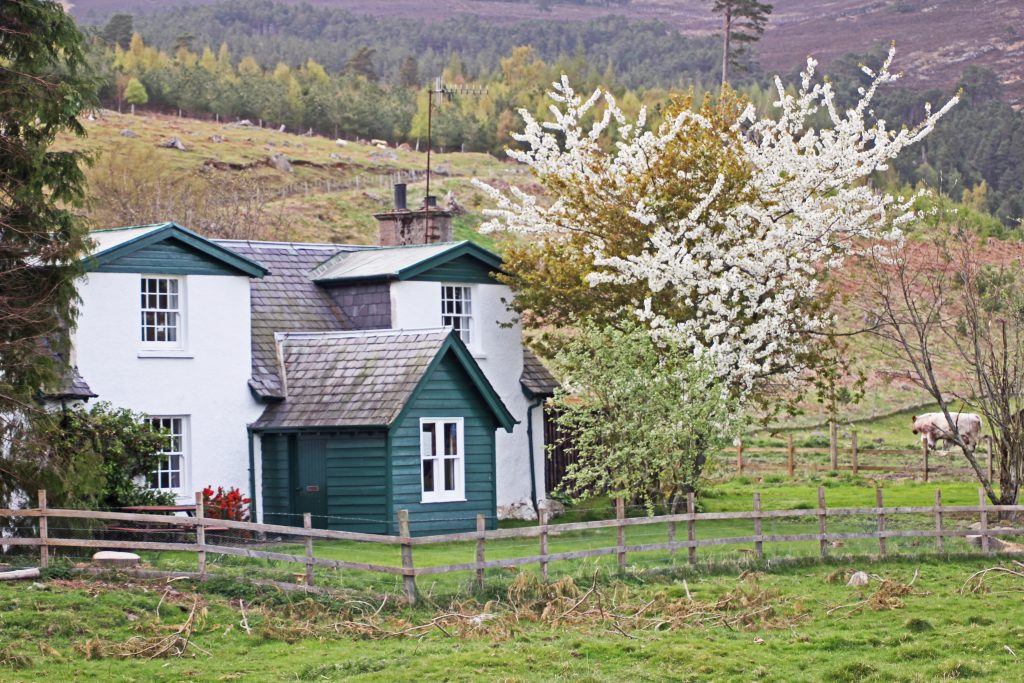 Alvie Estate Park Cottage - Camping in Aviemore
